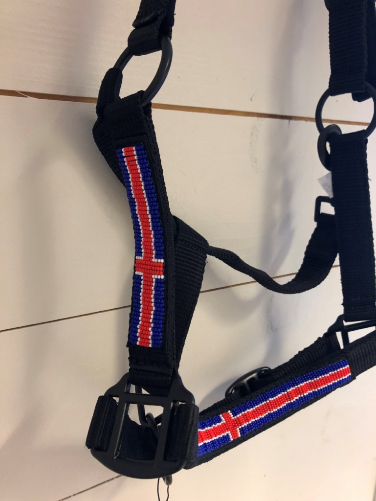 Grime med islandsk flagg og farger | Hest i Fokus