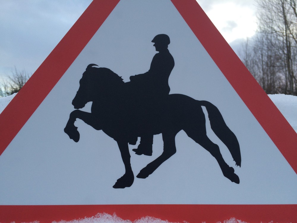 Skilt, fareskilt islandshest, fareskilt hest | Hest i Fokus
